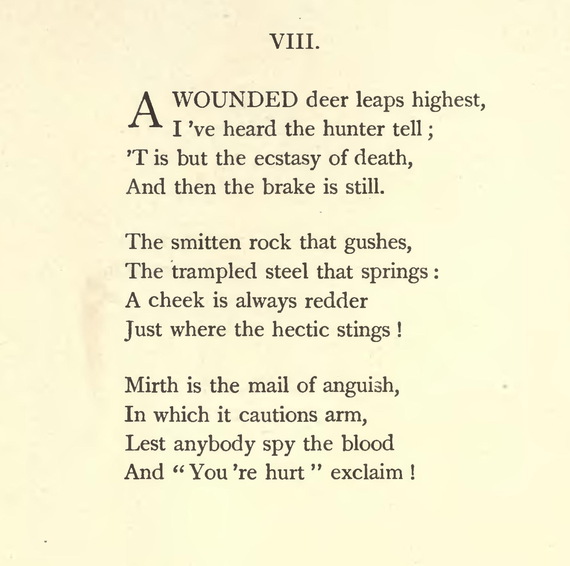 A Wounded Deer and a Perceived Writer – A. M. Dunnewin
